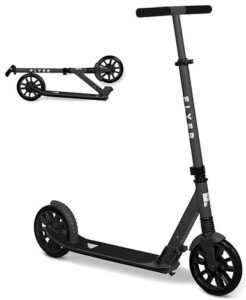 Almost Sold Out - Flyer (by Radio Flyer) Kickstart Max, Kick Scooter ...